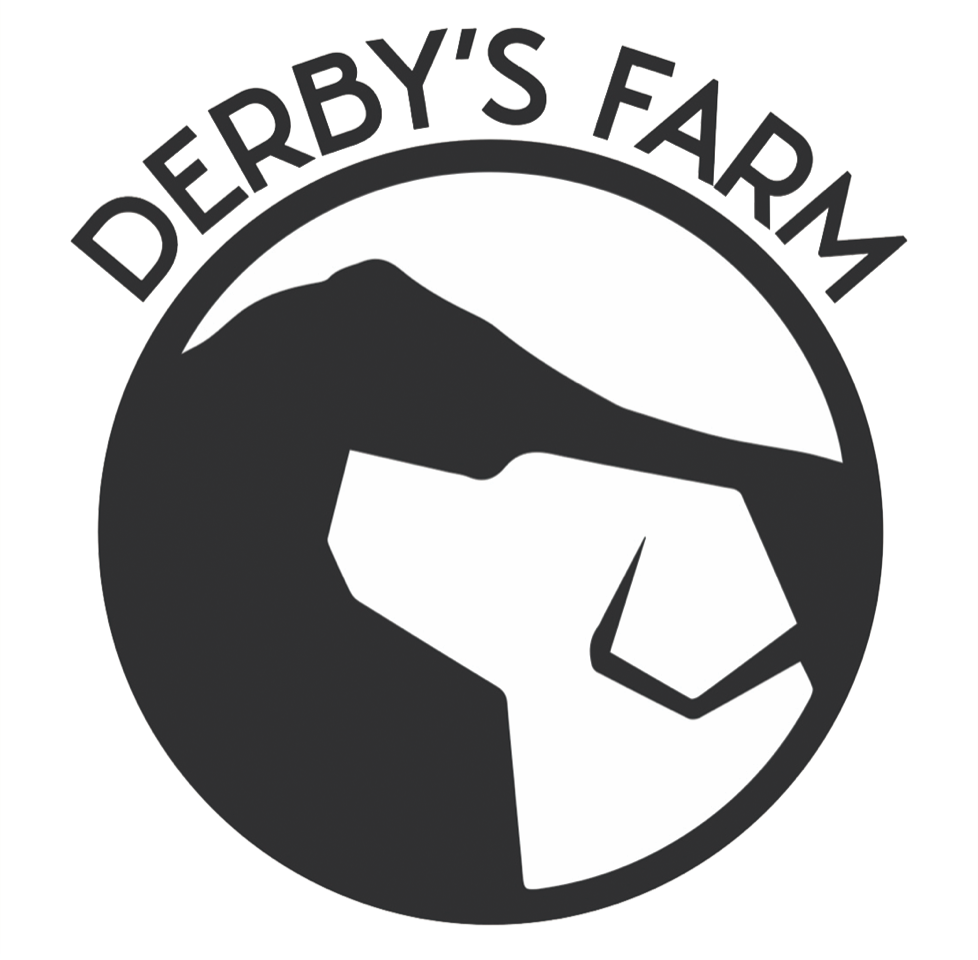 Home | Ashland Oregon Cannabis Dispensary | Kingston Cannabis